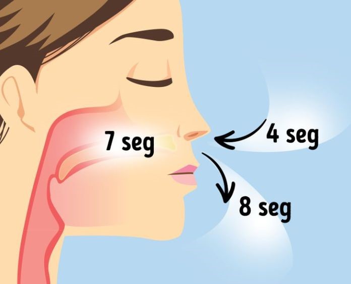 Técnicas de respiración – Buscando el norte